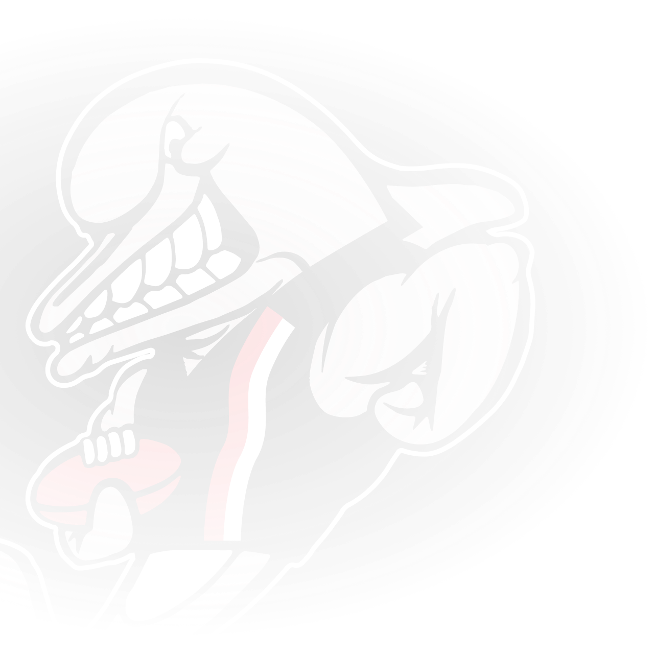 Official AFL Website of the Western Bulldogs