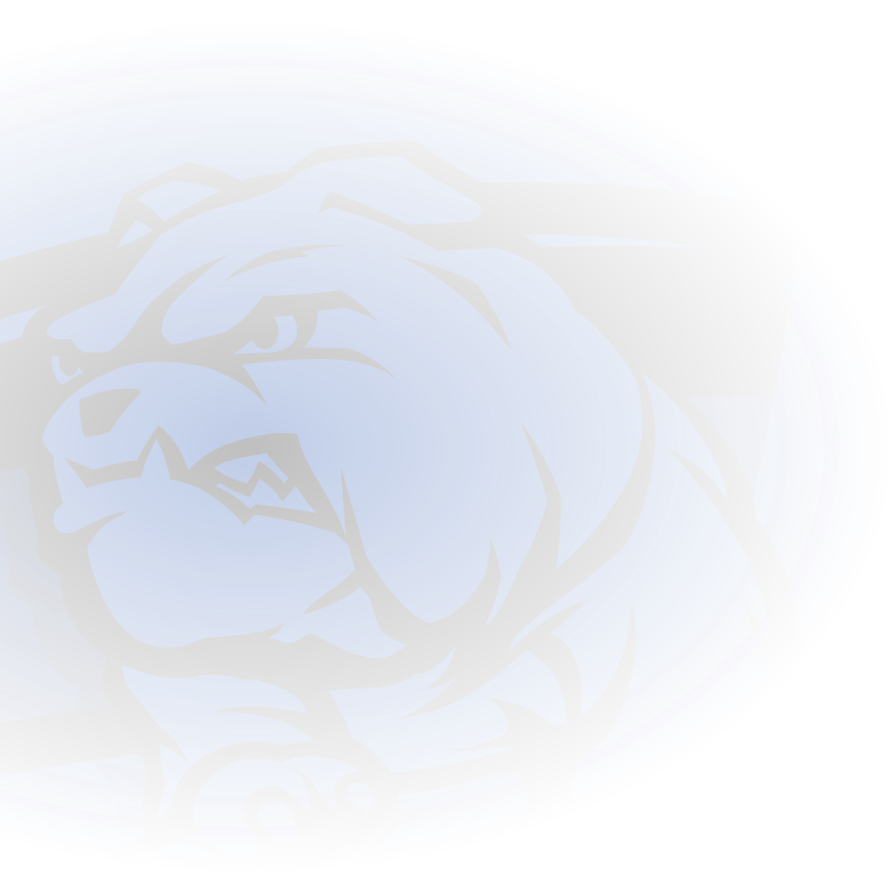 Official AFL Website of the Western Bulldogs